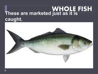 Preparation of fish and shellfish products | PPTX