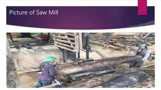 Preparation of hazard evaluation worksheet for a workstation (saw mill ...