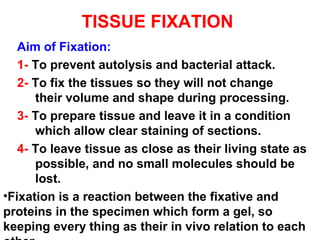 Preparation of histological slide | PPT