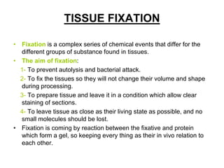 PREPARATION OF HISTOLOGICAL SPECIMENS.pptx