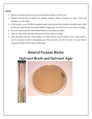 Preparation of media & sterilization technique | PDF