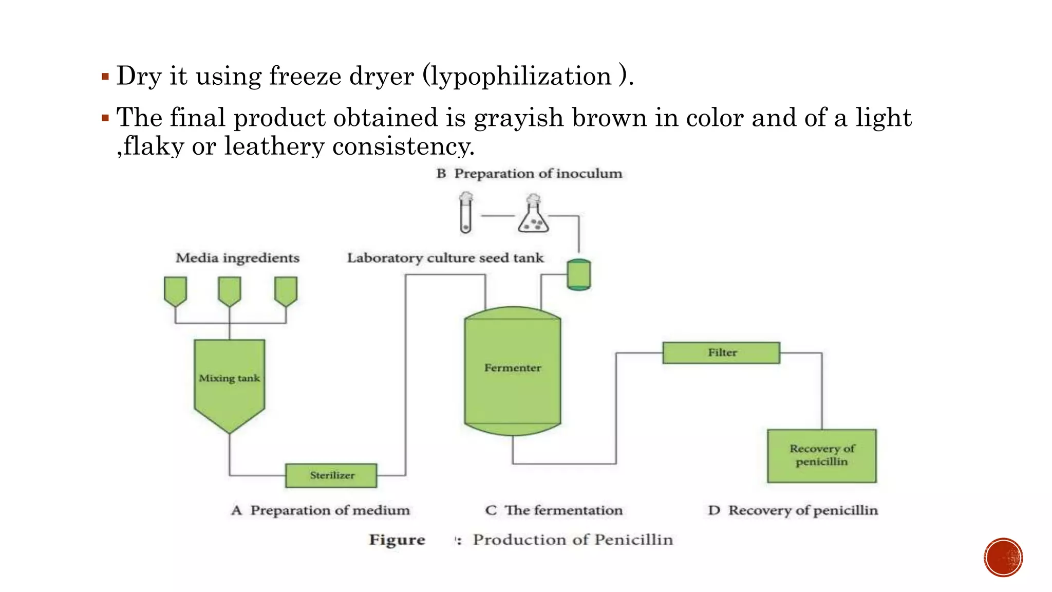 preparation of penicillinase enzyme.pptx