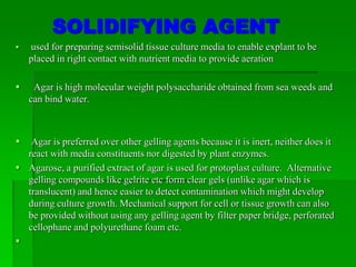 plant tissue culture medium | PPT