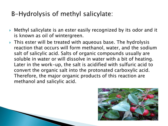 Preparation of Salicylic Acid By Hydrolysis of Methyl Salicylate .pdf