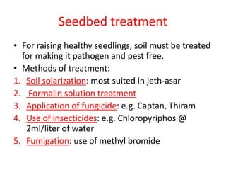 Preparation of seed bed | PPTX