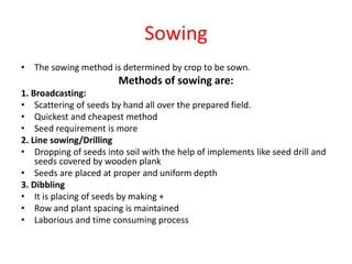 Preparation of seed bed | PPTX