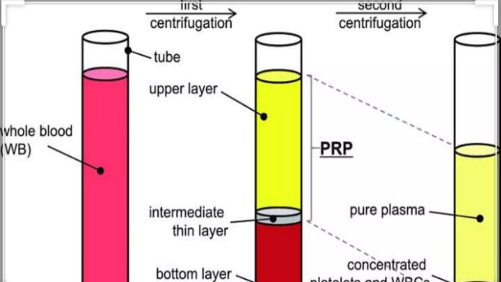 Preparation of serum and plasma .pptx