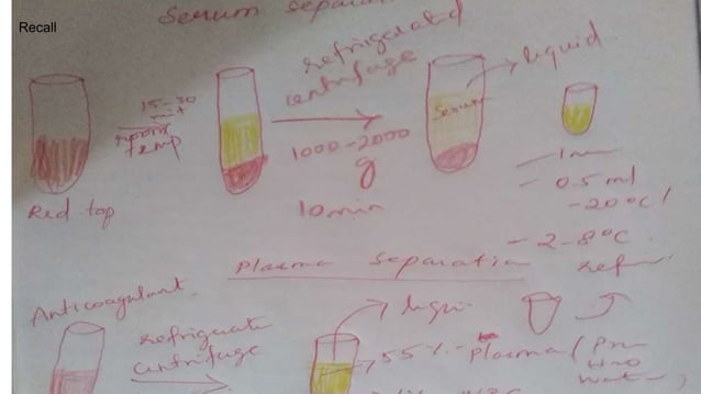 Preparation of serum and plasma .pptx