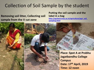Preparation of soil sample part i | PPTX