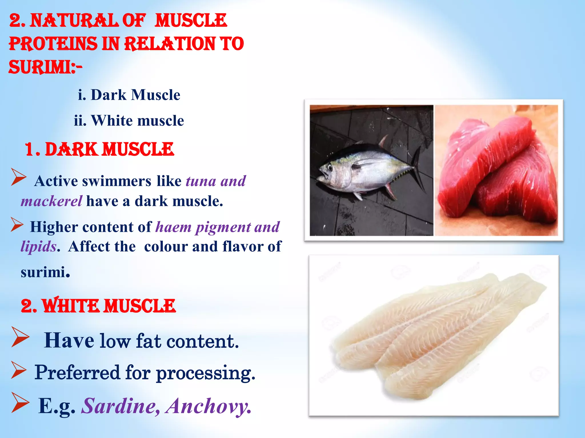 Preparation of surimi and minced based fishery products | PDF