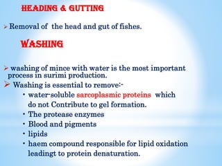 Preparation of surimi and minced based fishery products | PDF
