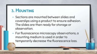 Preparation of Temporary Slides.pptx