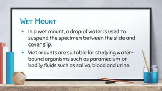 Preparation of Temporary Slides.pptx