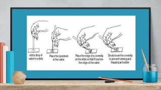Preparation of Temporary Slides.pptx