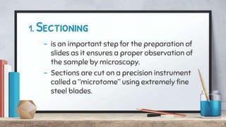 Preparation of Temporary Slides.pptx