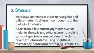 Preparation of Temporary Slides.pptx