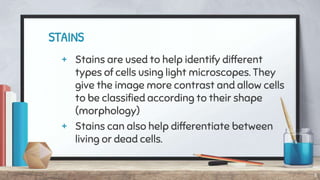 Preparation of Temporary Slides.pptx