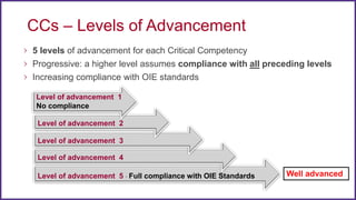 Preparation PVS Evaluation Follow-up INDONESIA 2023 | PDF