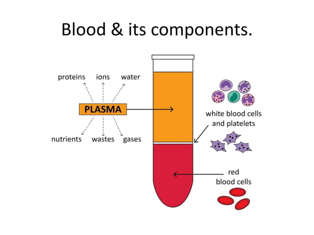 Preparations of Blood component, for use. | PPTX | Blood Disorders ...