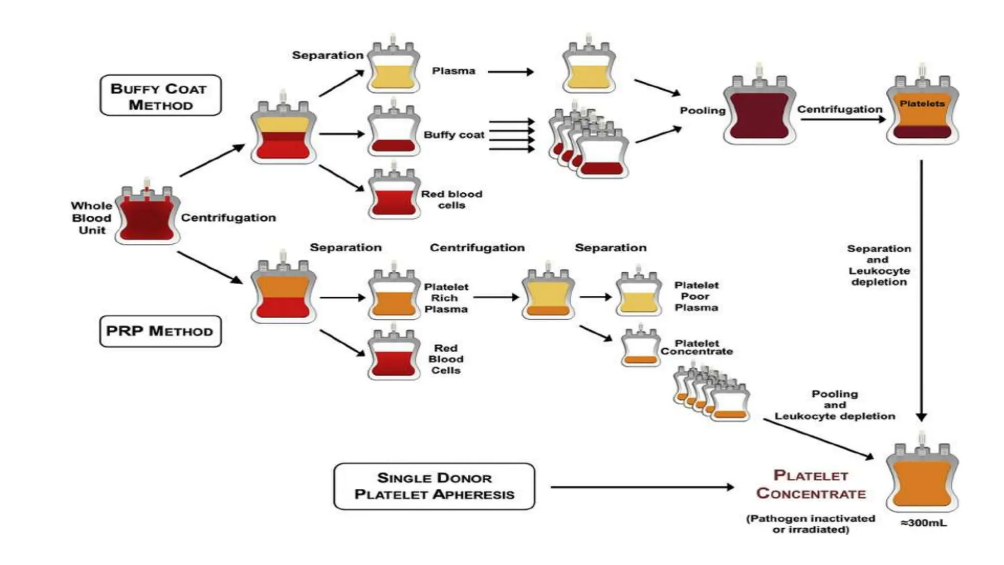 PREPARATION, STORAGE & USAGE OF BLOOD COMPONENT edit.pptx