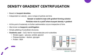Preparative and analytical centrifugation | PPTX