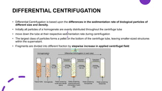 Preparative and analytical centrifugation | PPTX