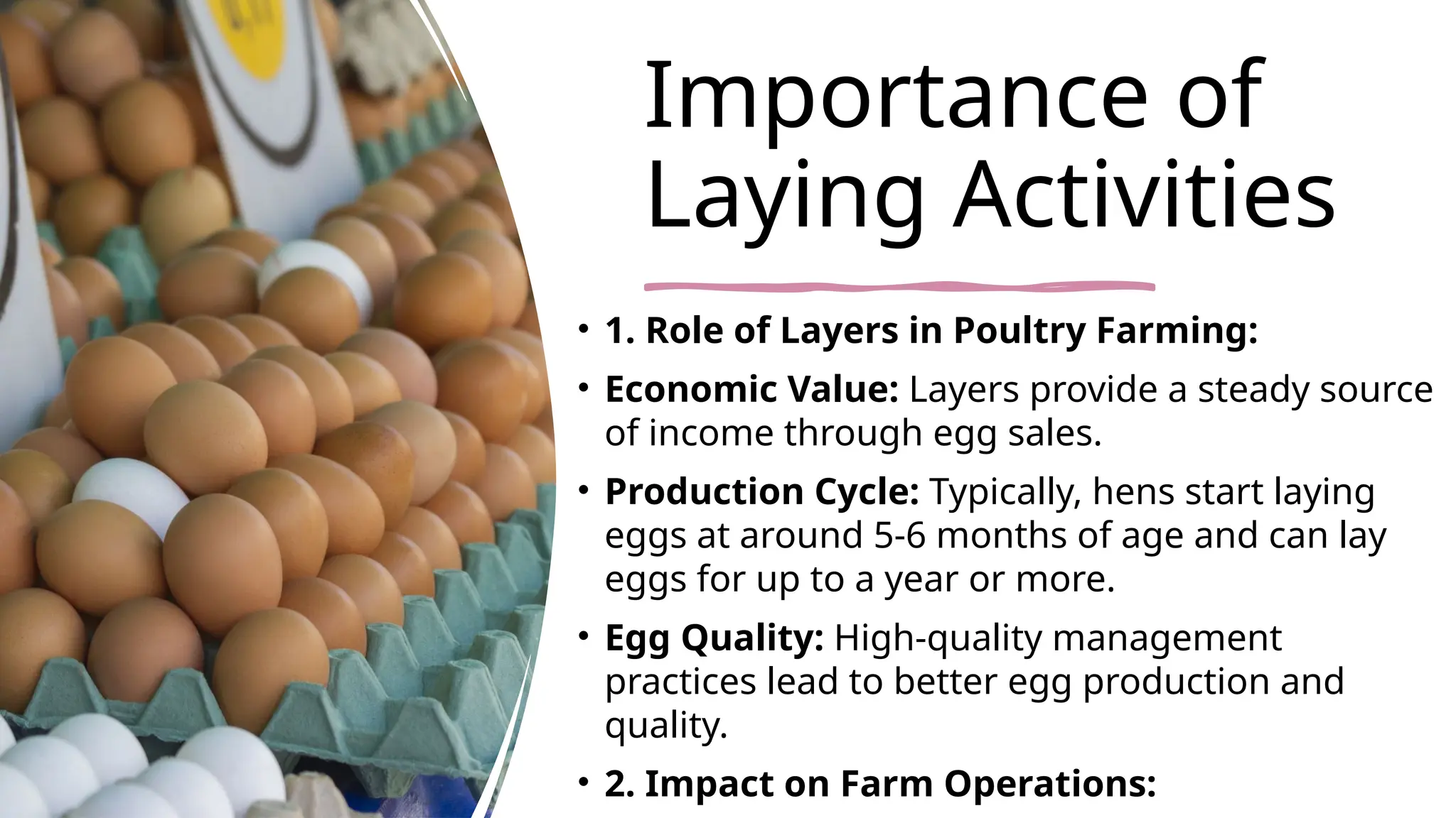 Preparatory Activities AFA Poultry .pptx