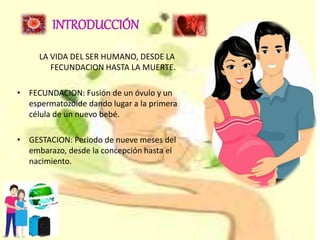 ANTECEDENTES -Pre para y post natal informatica III- Angelica levy | PPTX