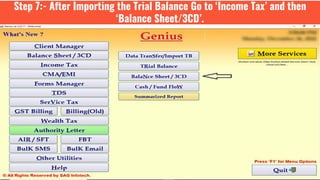 Using the Genius Tax Return Software to Create a Balance Sheet | PDF