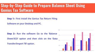 Using the Genius Tax Return Software to Create a Balance Sheet | PDF
