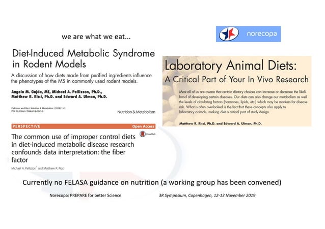 prepare-guidelines important.pdf