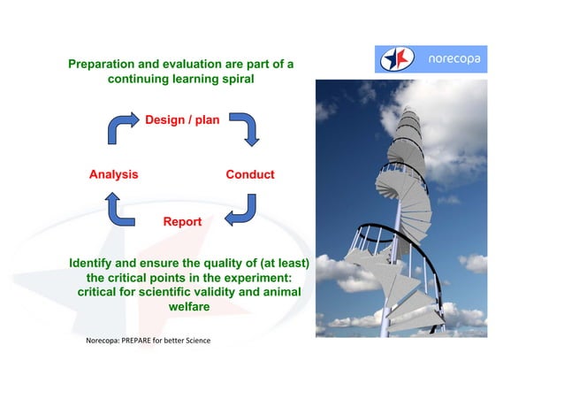 prepare-guidelines important.pdf