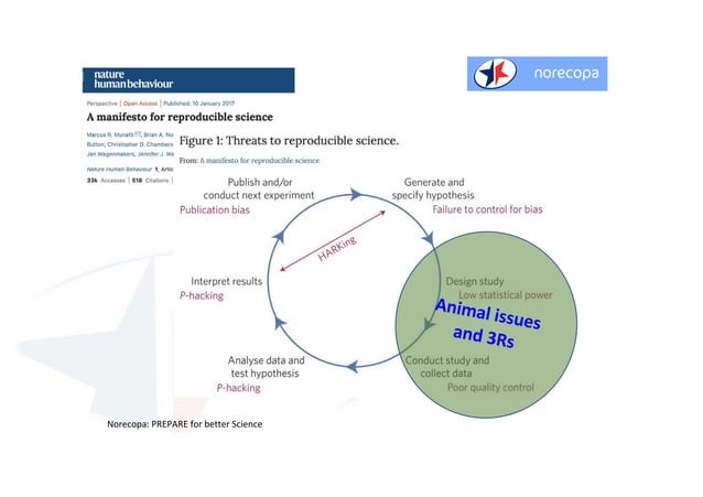 prepare-guidelines important.pdf