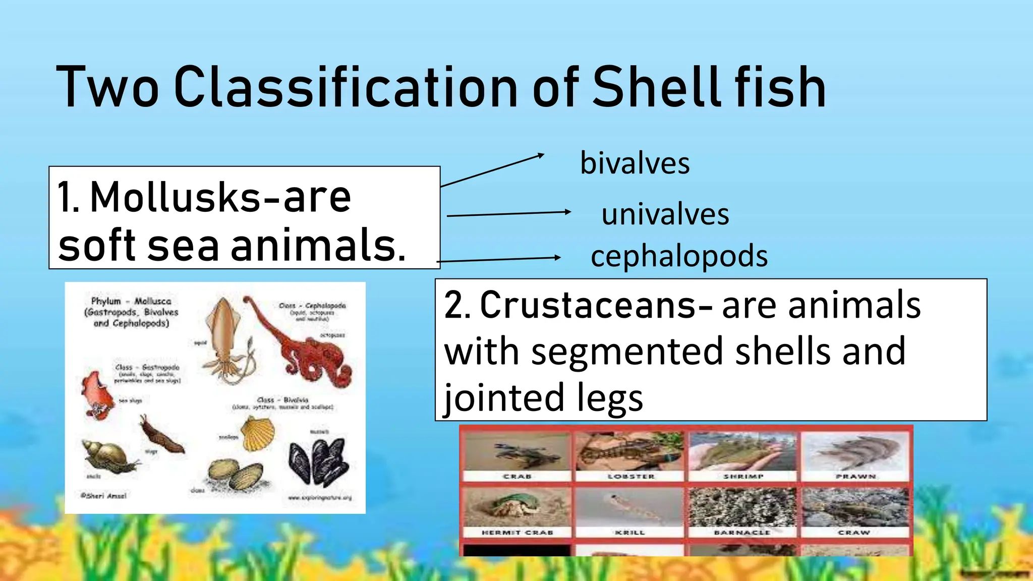 Prepare and Cook Seafood Dishes for grade 10pptx | PPTX