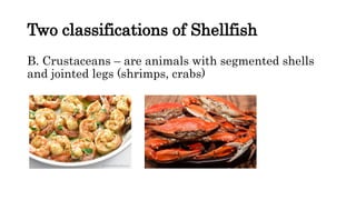 TLE 10PREPARE AND COOK SEAFOOD DISHES.pptx