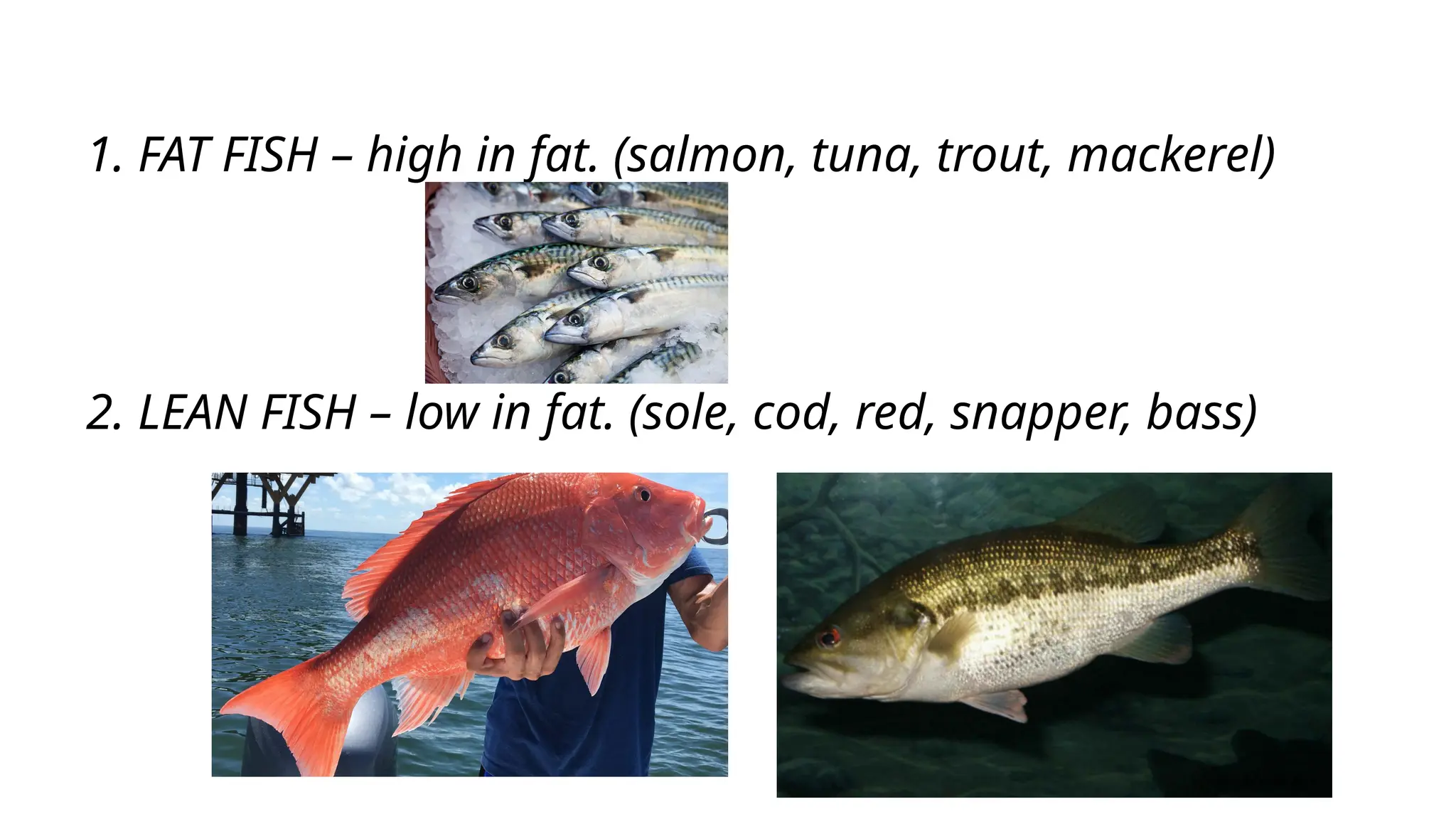 Prepare and cook seafood dishes powerpoint. | PPTX