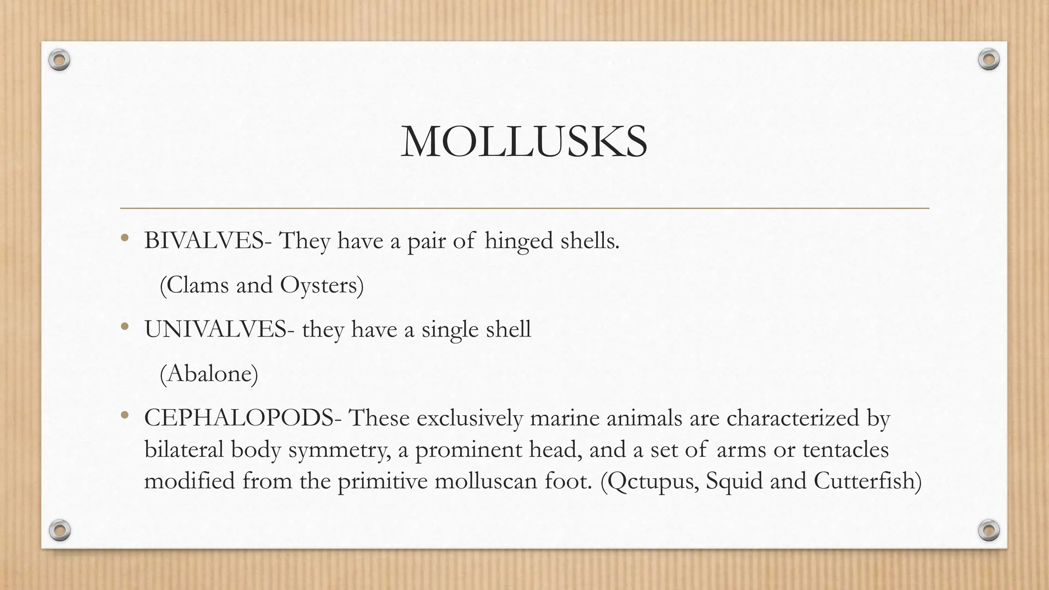 PREPARE AND COOK SEAFOOD DISHES (Processing fish and Principles of ...