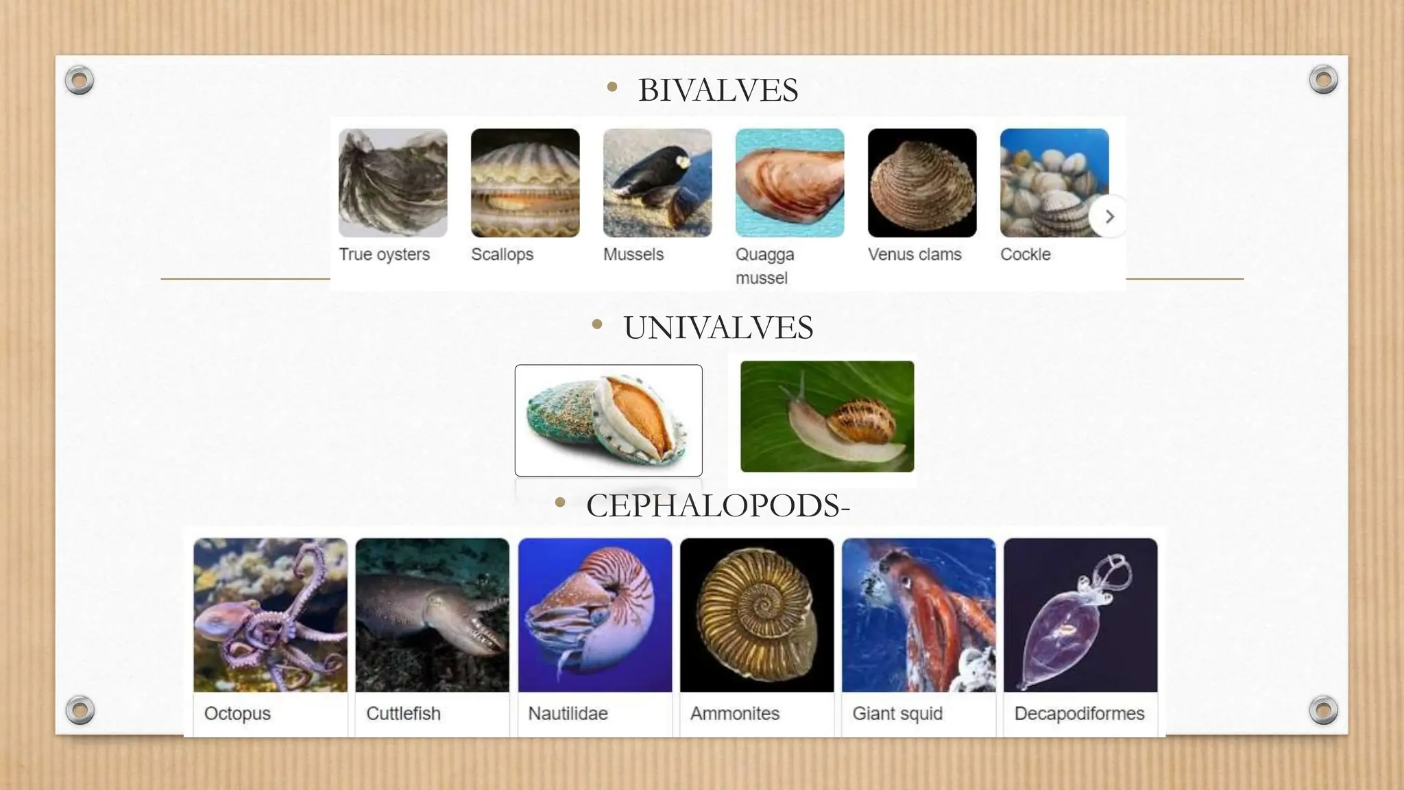 PREPARE AND COOK SEAFOOD DISHES (Processing fish and Principles of ...