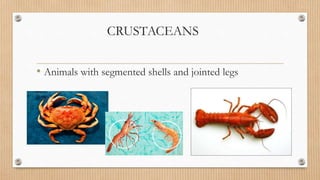 PREPARE AND COOK SEAFOOD DISHES (Processing fish and Principles of ...