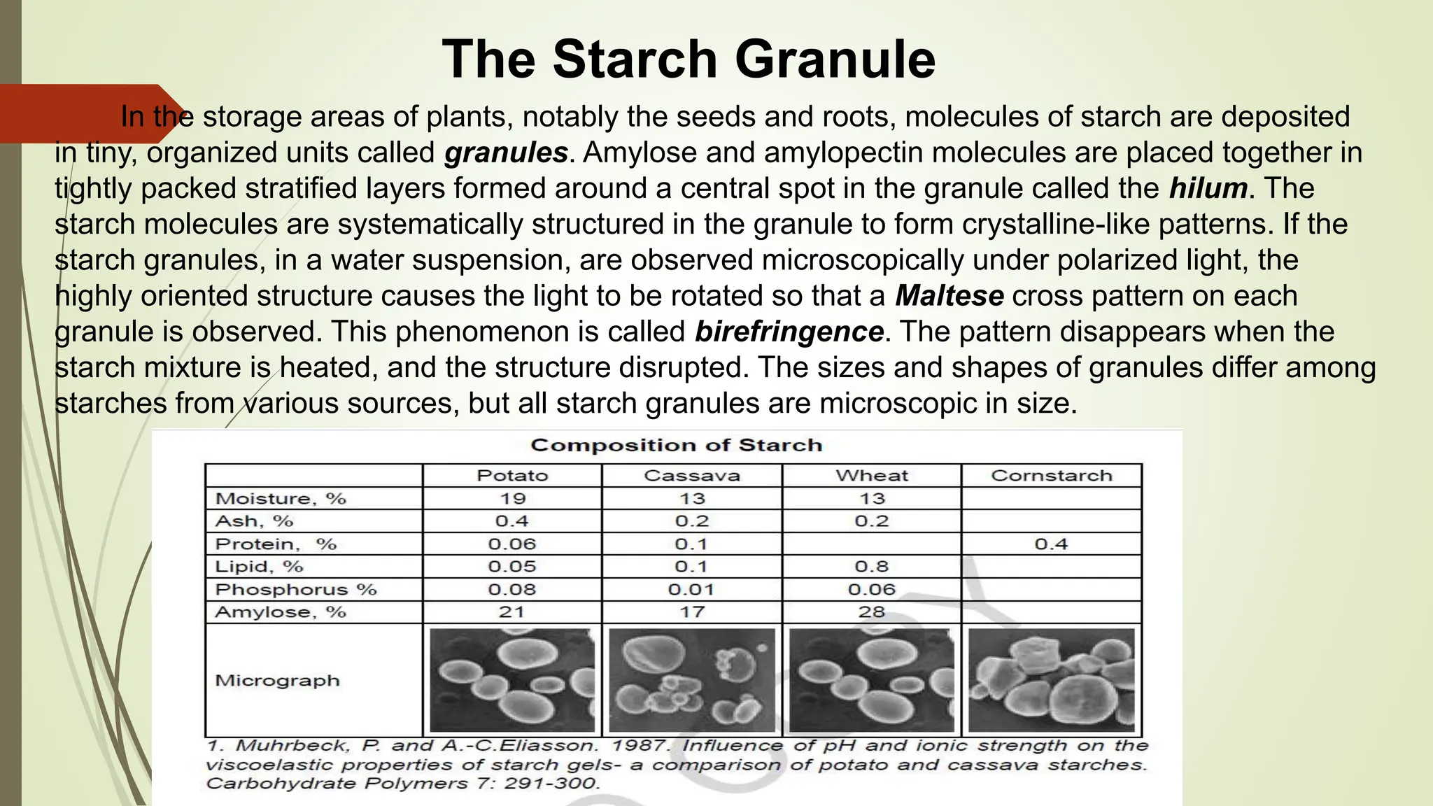 Prepare Cereal and Starch Dishes.pptx Quarter II Module6 | PPTX