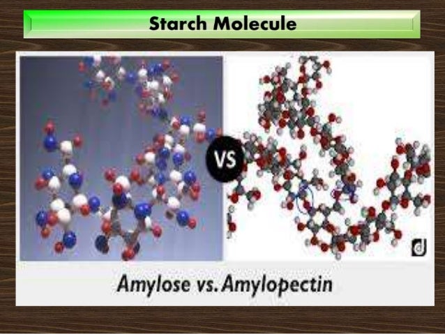 Prepare cereals and starch dishes