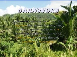 CHMSC Lab. School Science Project | PPT