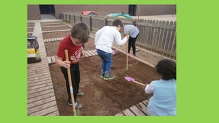 Preparem l’hort 1 | PPTX