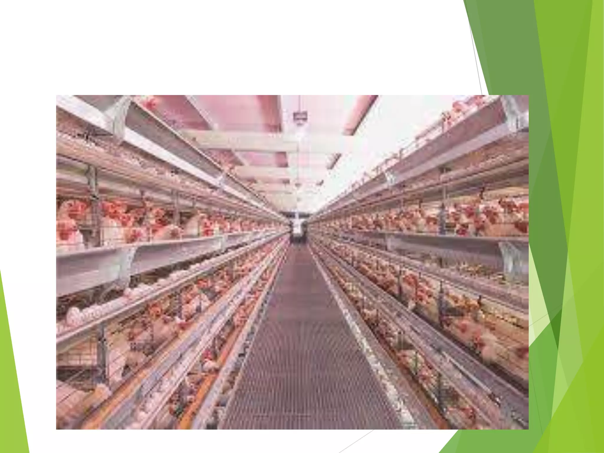Prepare Poultry and Game Dishes.pptx