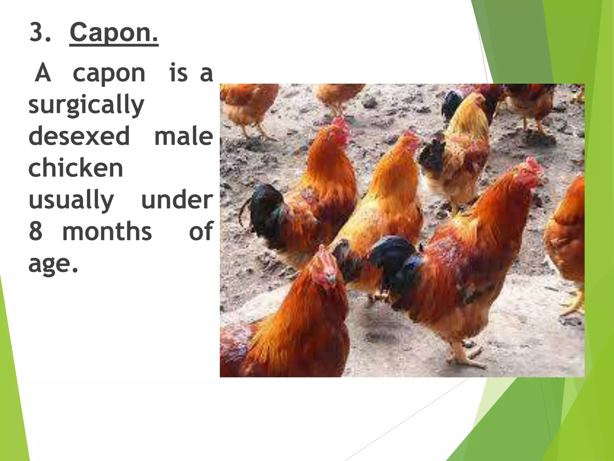 Prepare Poultry and Game Dishes.pptx