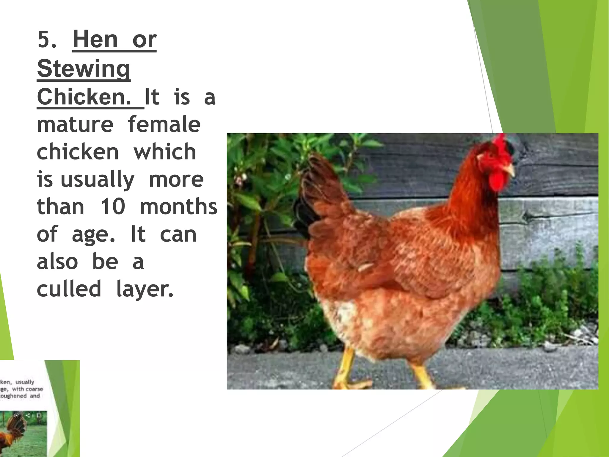 Prepare Poultry and Game Dishes.pptx