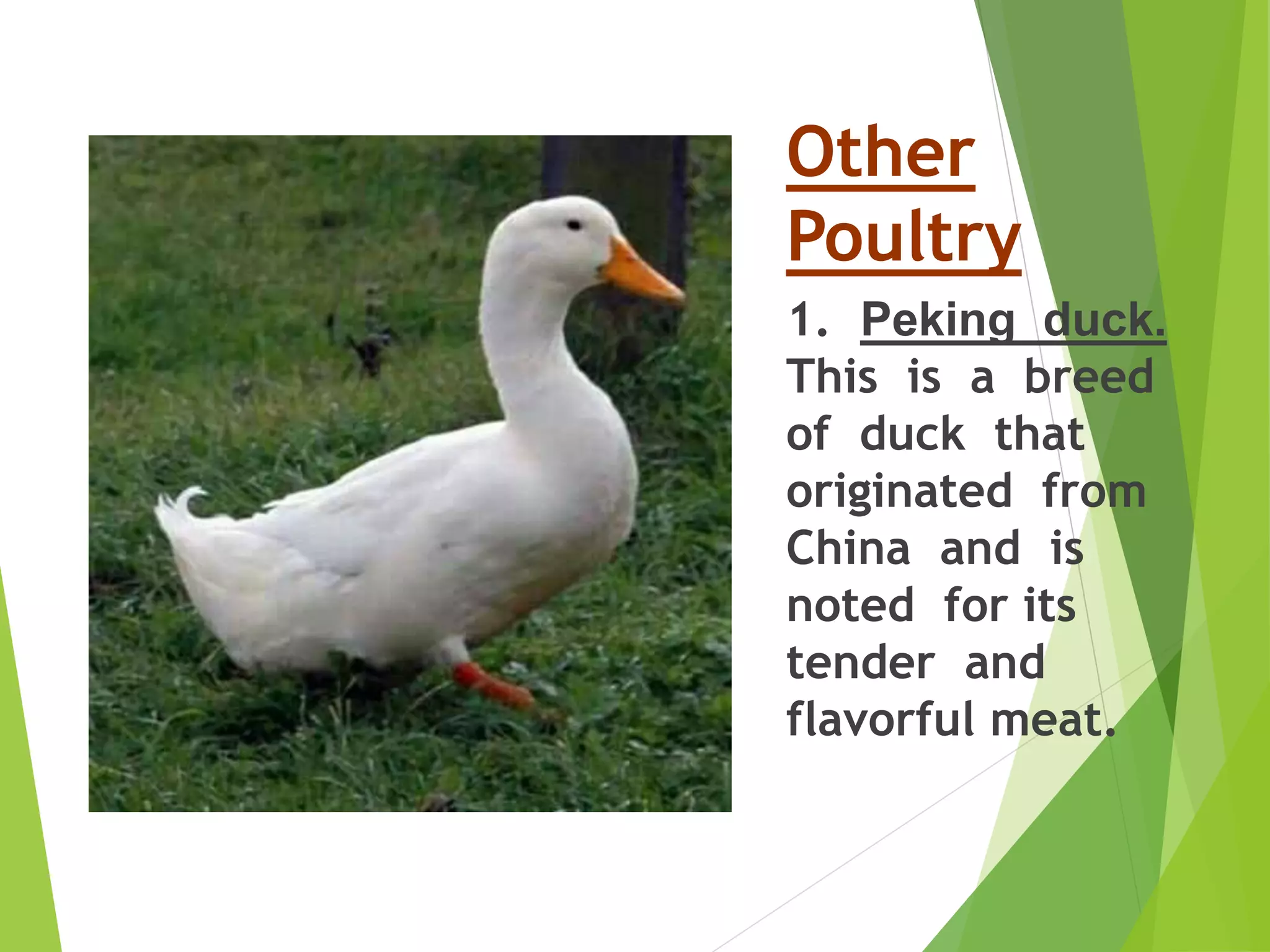 Prepare Poultry and Game Dishes.pptx