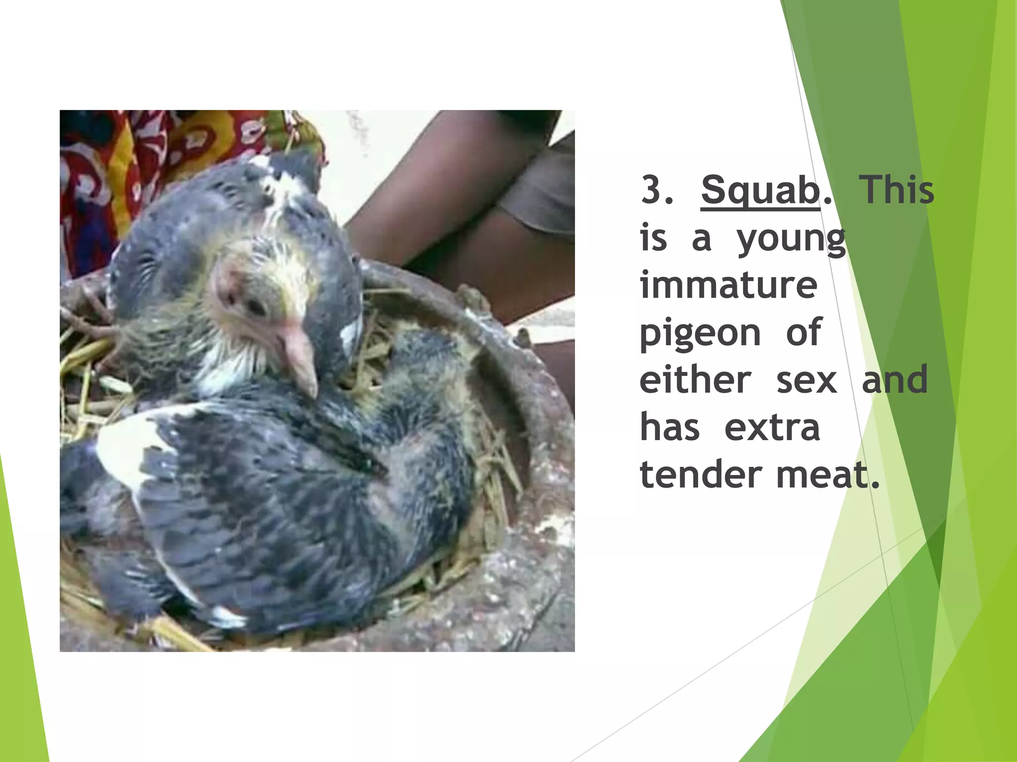 Prepare Poultry and Game Dishes.pptx