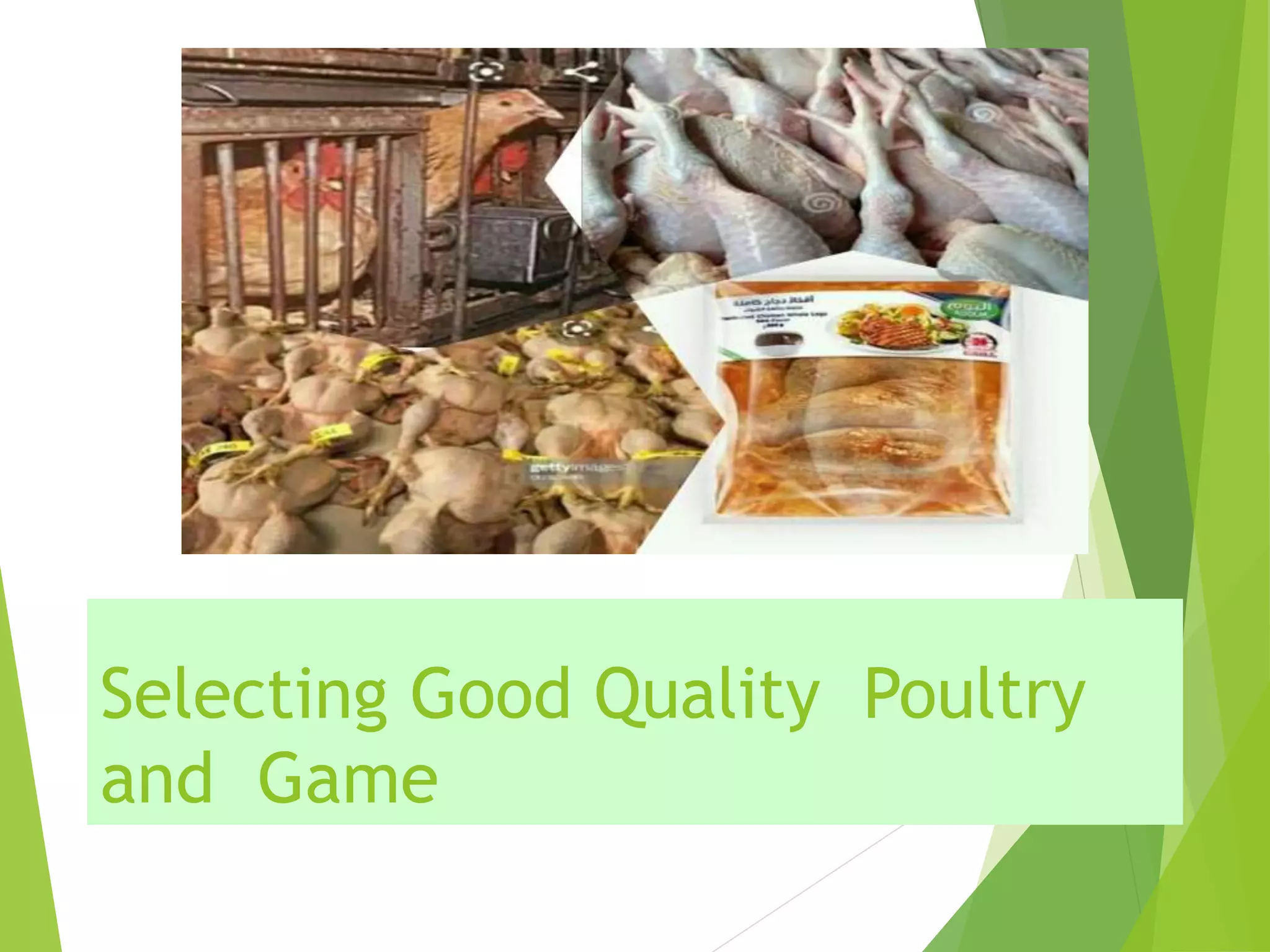 Prepare Poultry and Game Dishes.pptx | Birds | Pets
