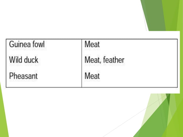 Prepare Poultry and Game Dishes.pptx | Birds | Pets